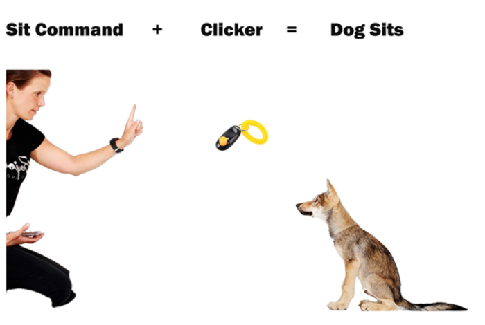 Reinforcement- Definition, Types, Conditioned Reinforcement